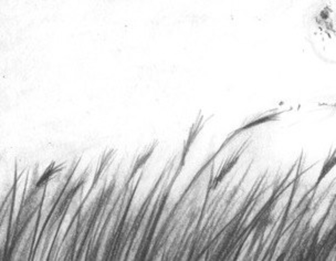 Pencil Drawing Print - Like the Wind - Day 231 - Etsy