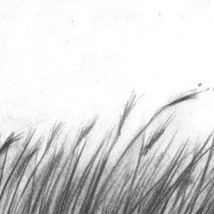 Pencil Drawing Print - Like the Wind - Day 231 - Etsy