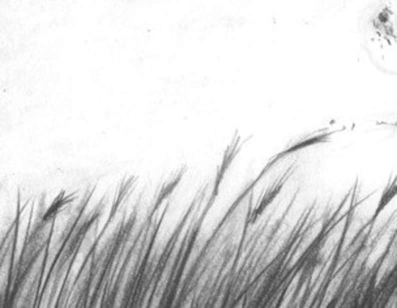Pencil Drawing Print - Like the Wind - Day 231 - Etsy