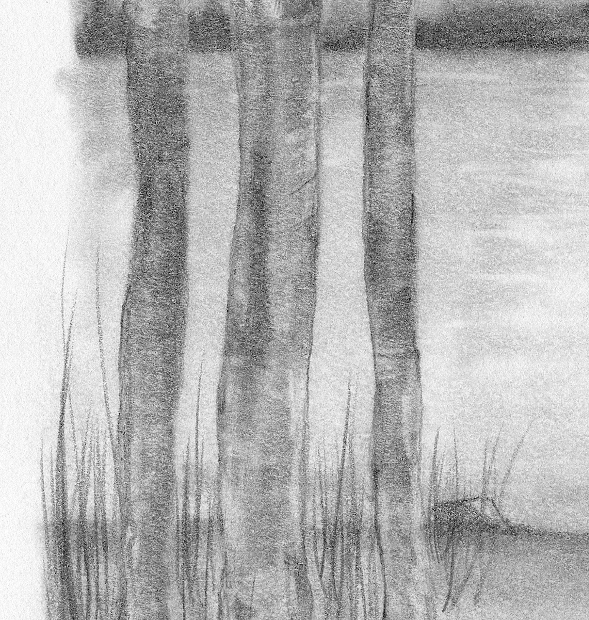 Through the Trees - Pencil Drawing Print - Etsy