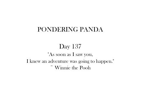 Pencil Drawing Print - Pondering Panda - Day 137 - Etsy UK