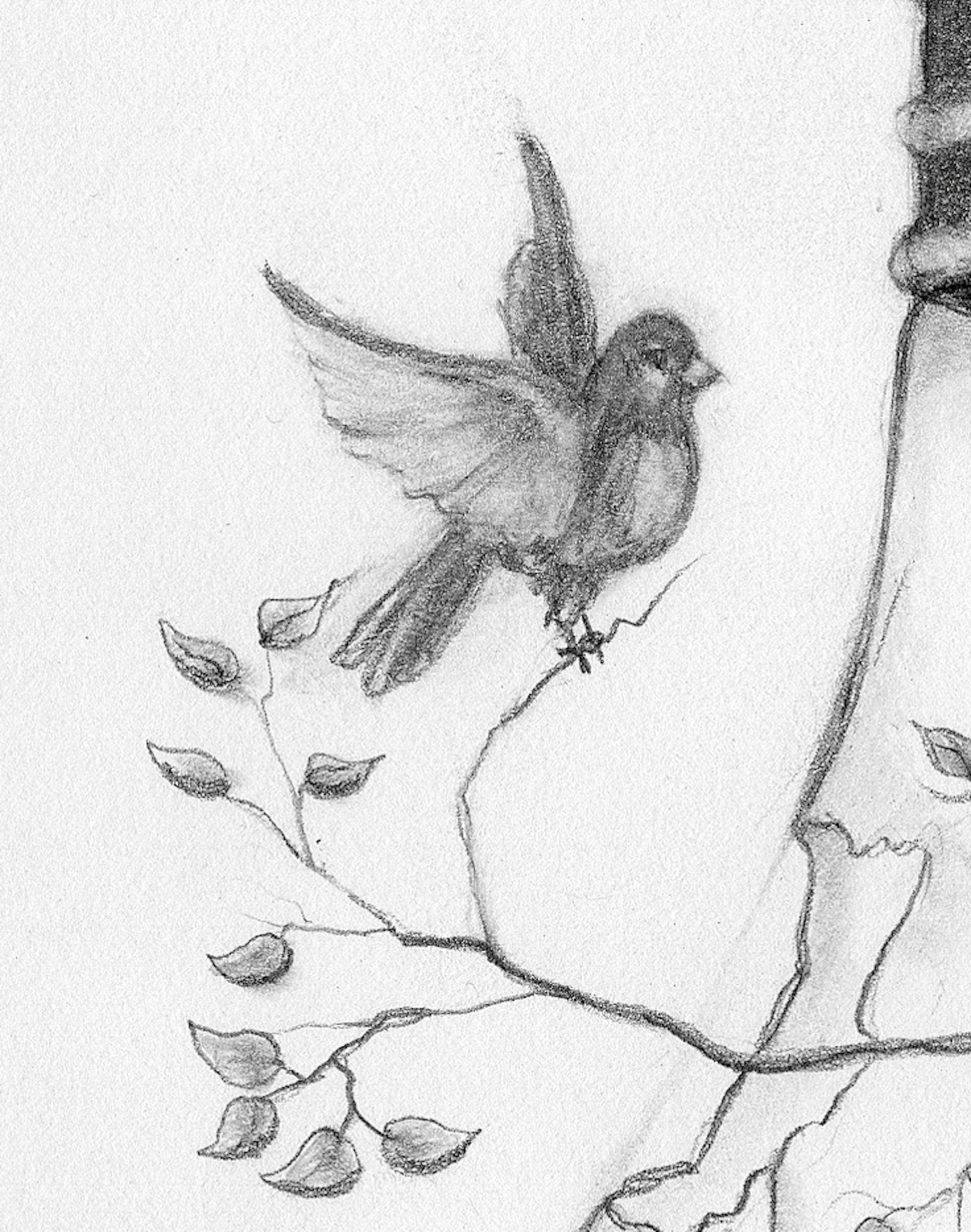 Remember - Pencil Drawing Print - Etsy