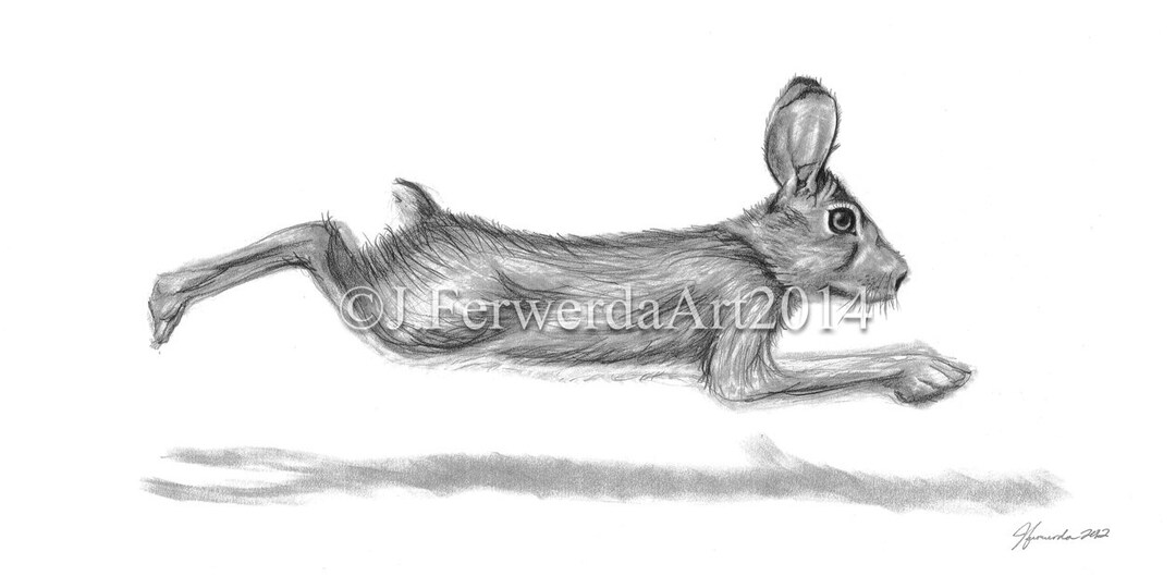 Pencil Drawing Print - the Leap - Day 180 - Etsy