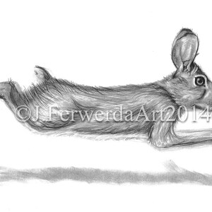 Pencil Drawing Print - the Leap - Day 180 - Etsy