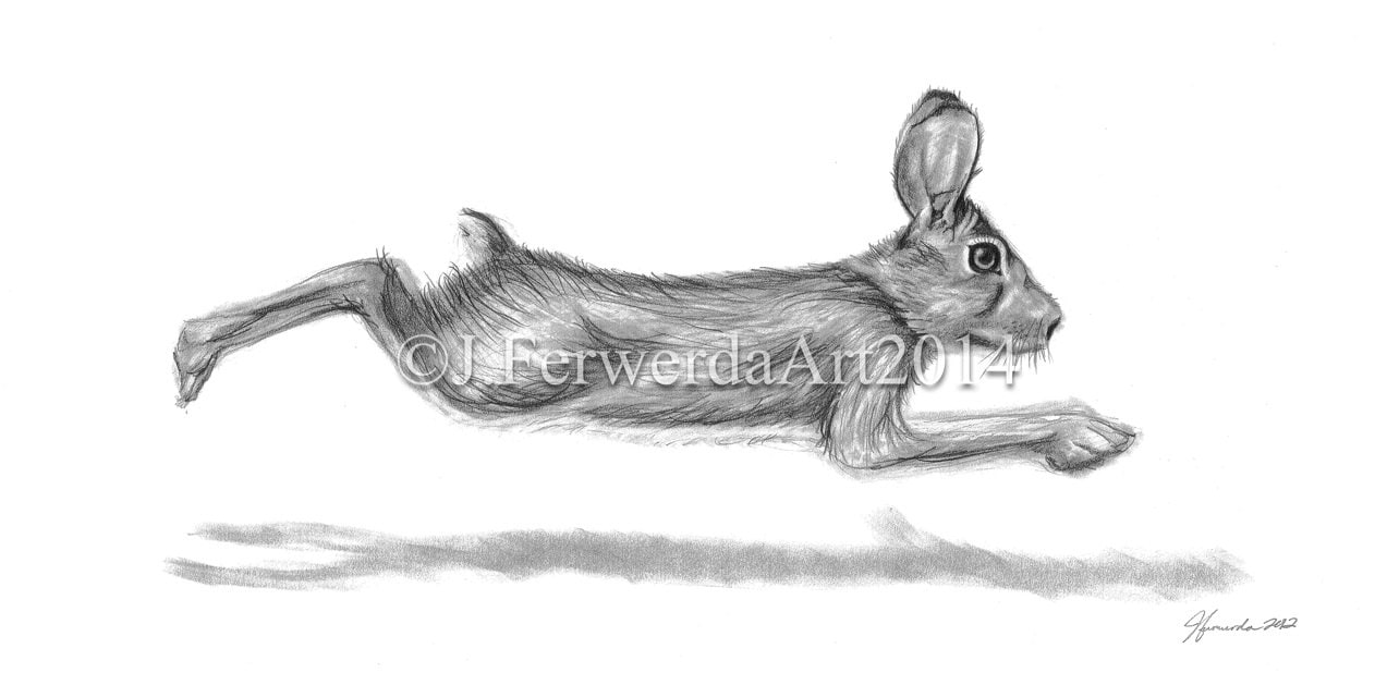 Pencil Drawing Print - the Leap - Day 180 - Etsy