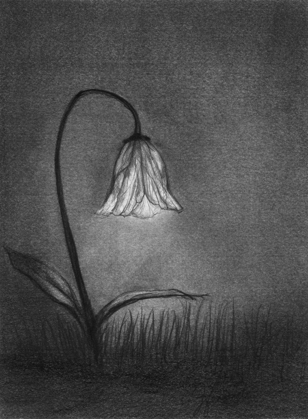 Pencil Drawing Print - Look for Your Life Day 340 - Etsy