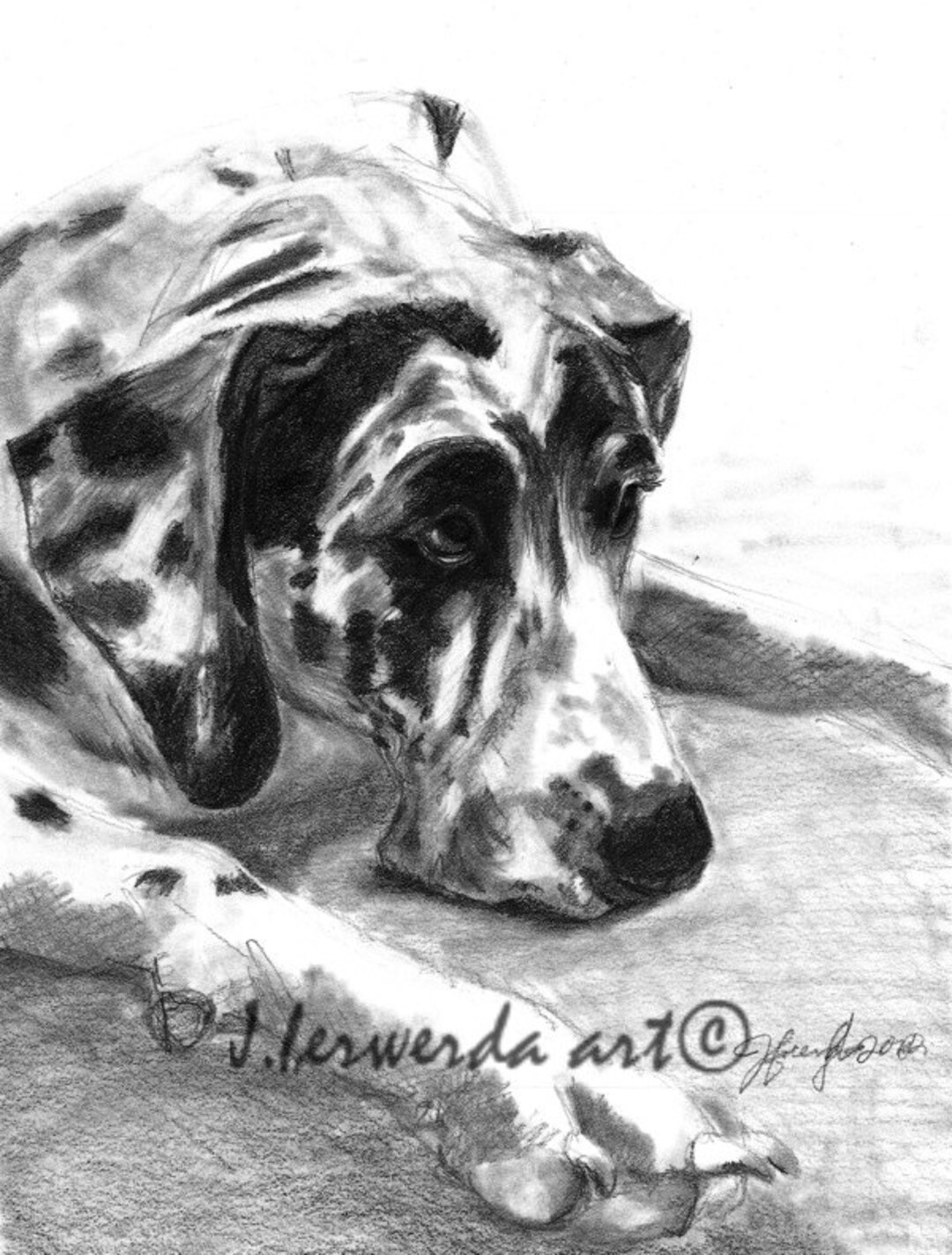 Pencil Drawing Print - the Duke - Day 26 - Etsy