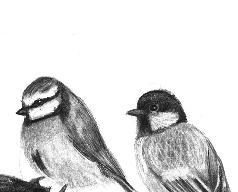Pencil Drawing Print - Four Calling Birds - Day 346 - Etsy
