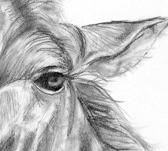 Pencil Drawing Print - Too Tall Day 43 - Etsy