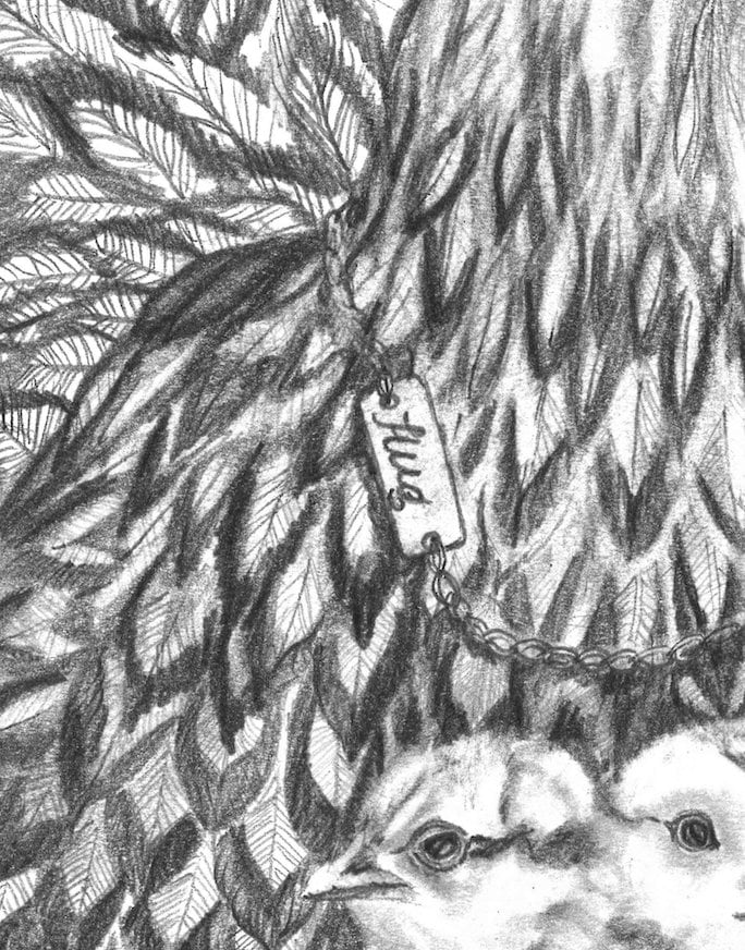 Pencil Drawing Print- Bushel and A Peck - Etsy