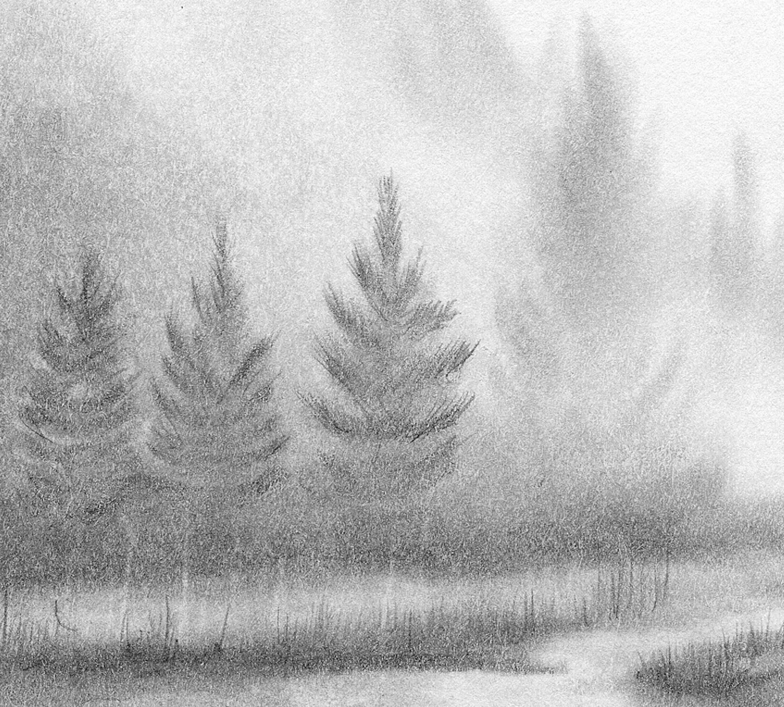 Cattails and Waterways - Pencil Drawing Print - Etsy