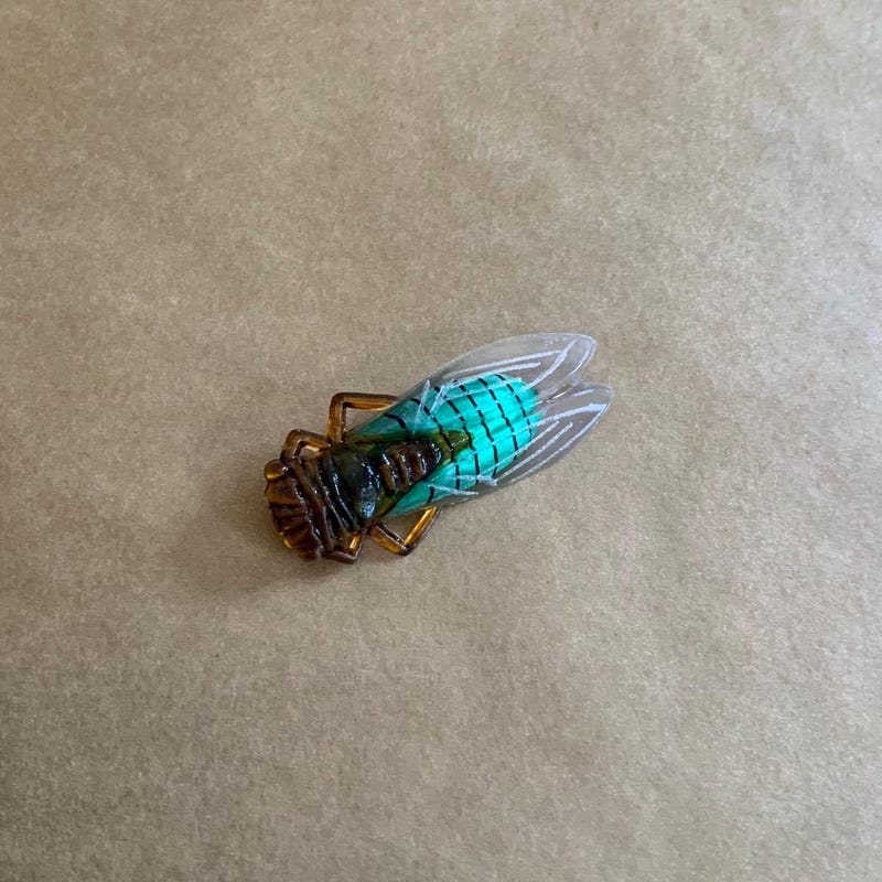Cicada Brooch - Etsy