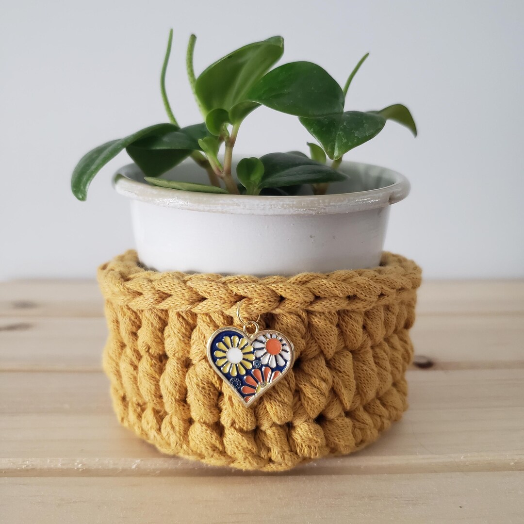 Small Yellow Planter Decor, Air Plant Display, Mini Crochet Basket With ...