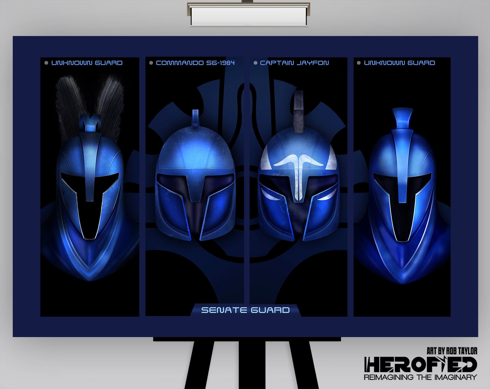 Star Wars Senate Guard Costume