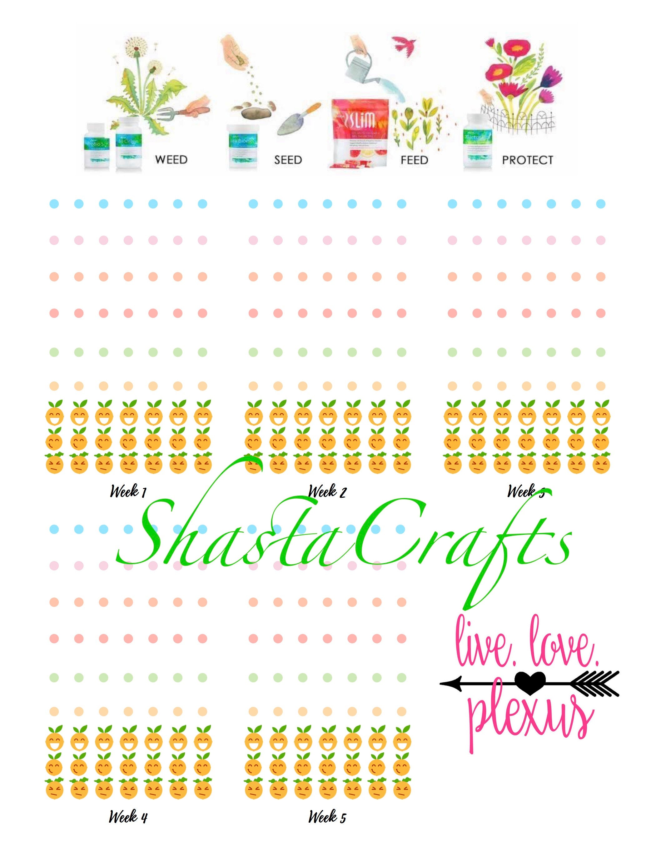 Craft Supplies & Tools Plexus Planner Tracker Mood tracker Bullet ...