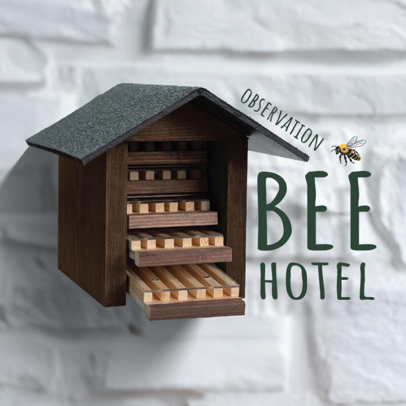 Bee Hotel - Etsy UK