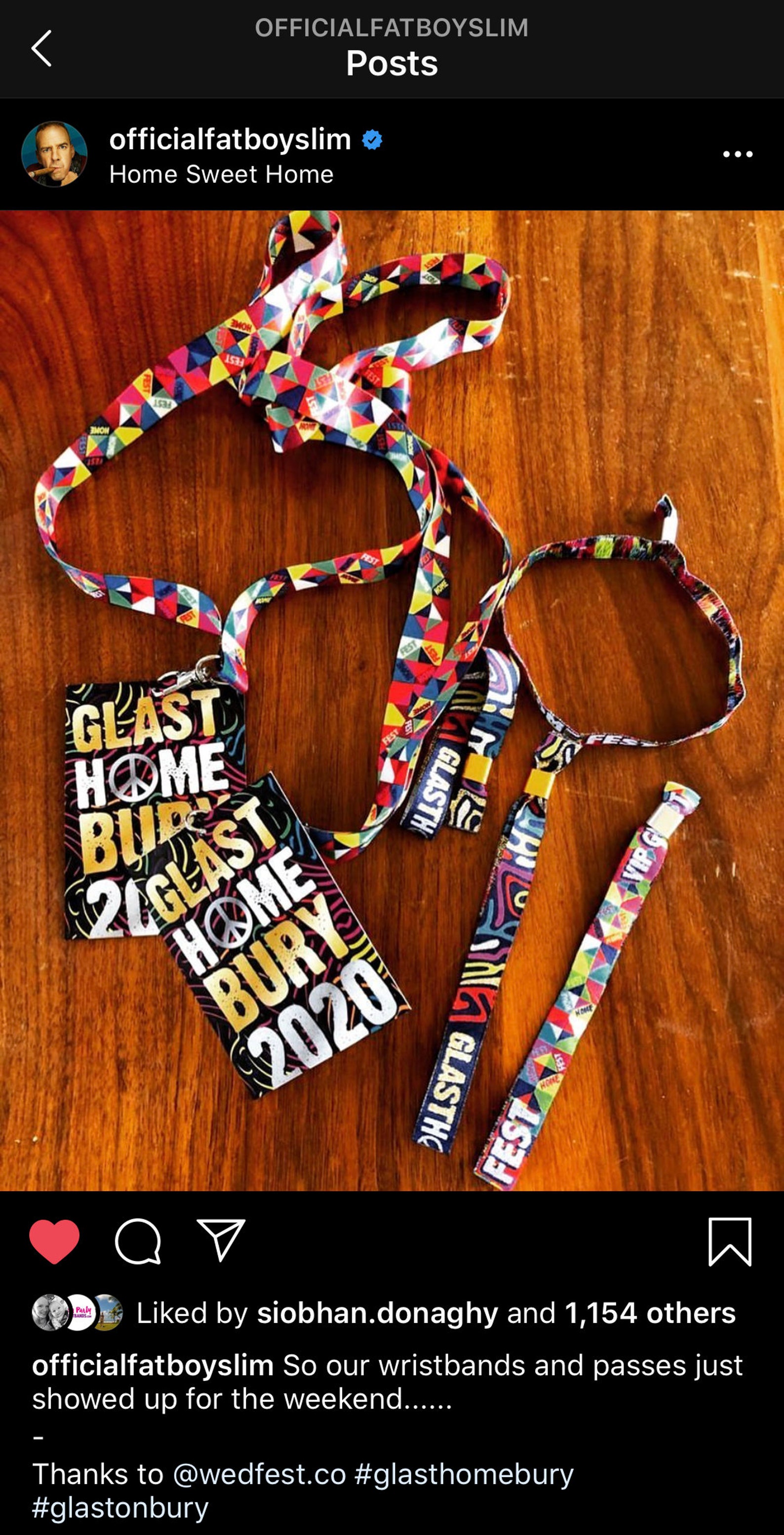 GLASTHOMEBURY Festival VIP Lanyards Homefest Lockdown Festival Party ...