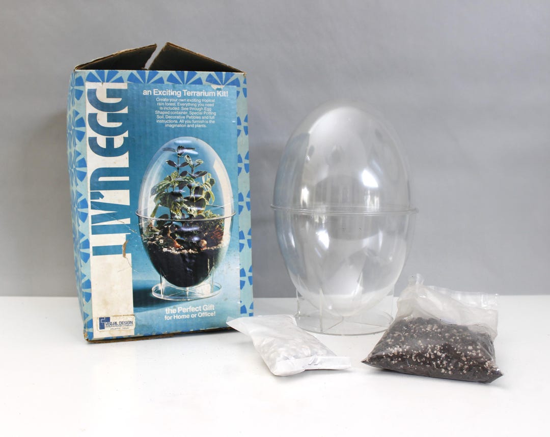 Vintage Acrylic Egg Terrarium With Stand Mid Century Liv'n Egg - Etsy