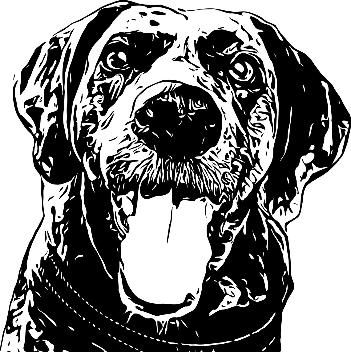 Custom Pet Vinyl or Digital File (svg) - Etsy