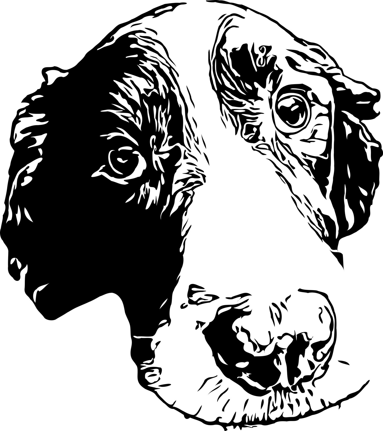 Custom Pet Vinyl or Digital File (svg) - Etsy