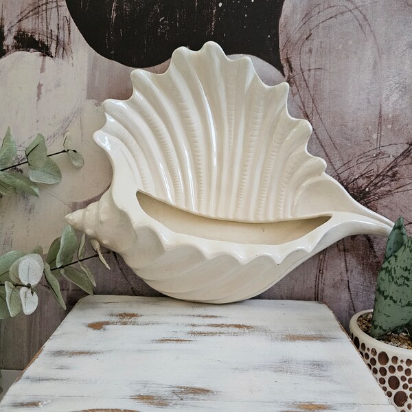 Conch Shell Planter - Etsy