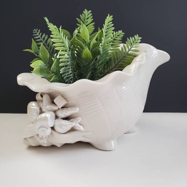 Conch Shell Planter - Etsy