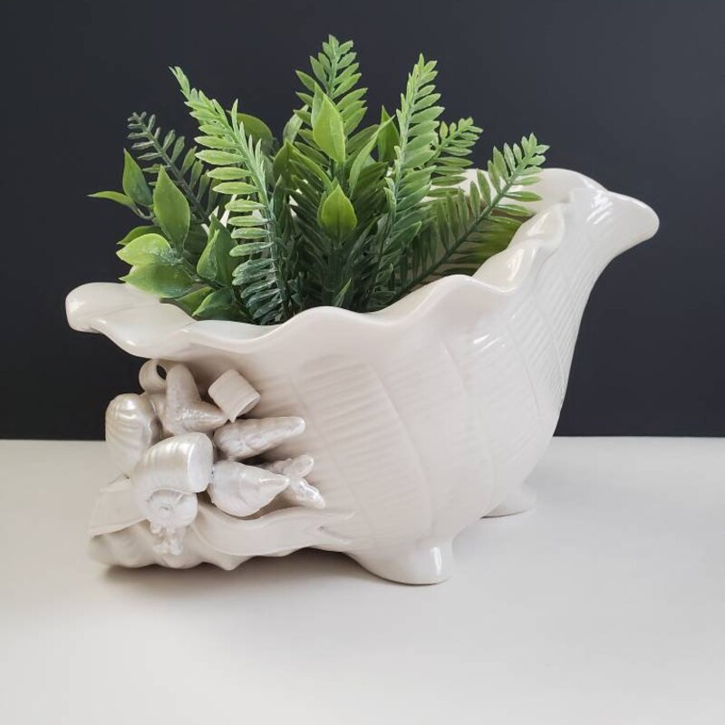 Conch Shell Planter - Etsy
