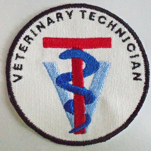 Heart Stethoscope Design Iron on Patch Great for Doctors and - Etsy