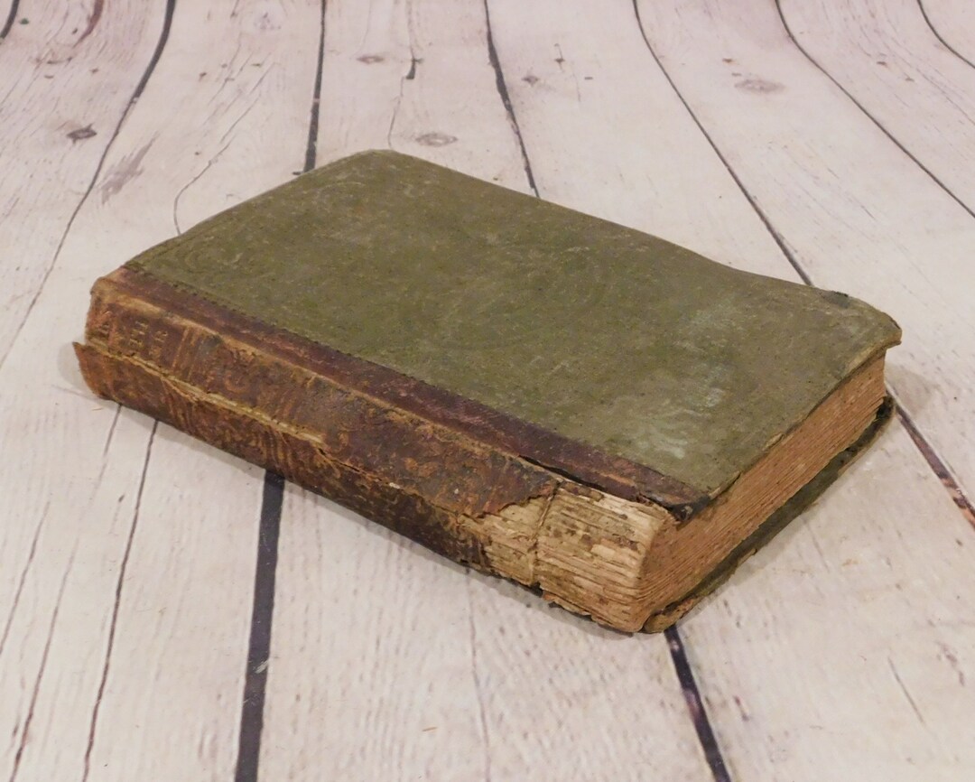 Antique 1862 Reading Book, the New School Reader, Fourth Book, by ...