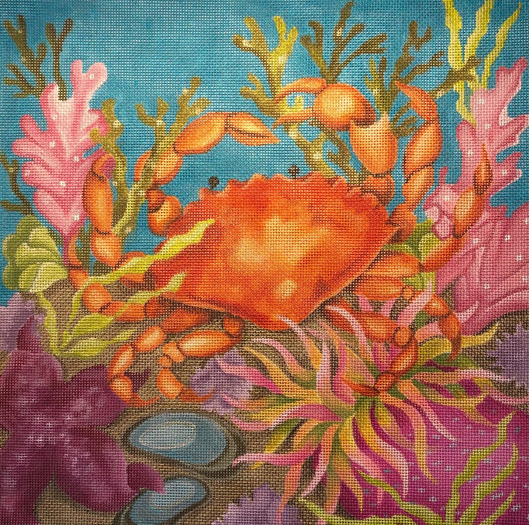 Needlepoint Handpainted Amanda Lawford Coral Reef Crab 11x11 - Etsy