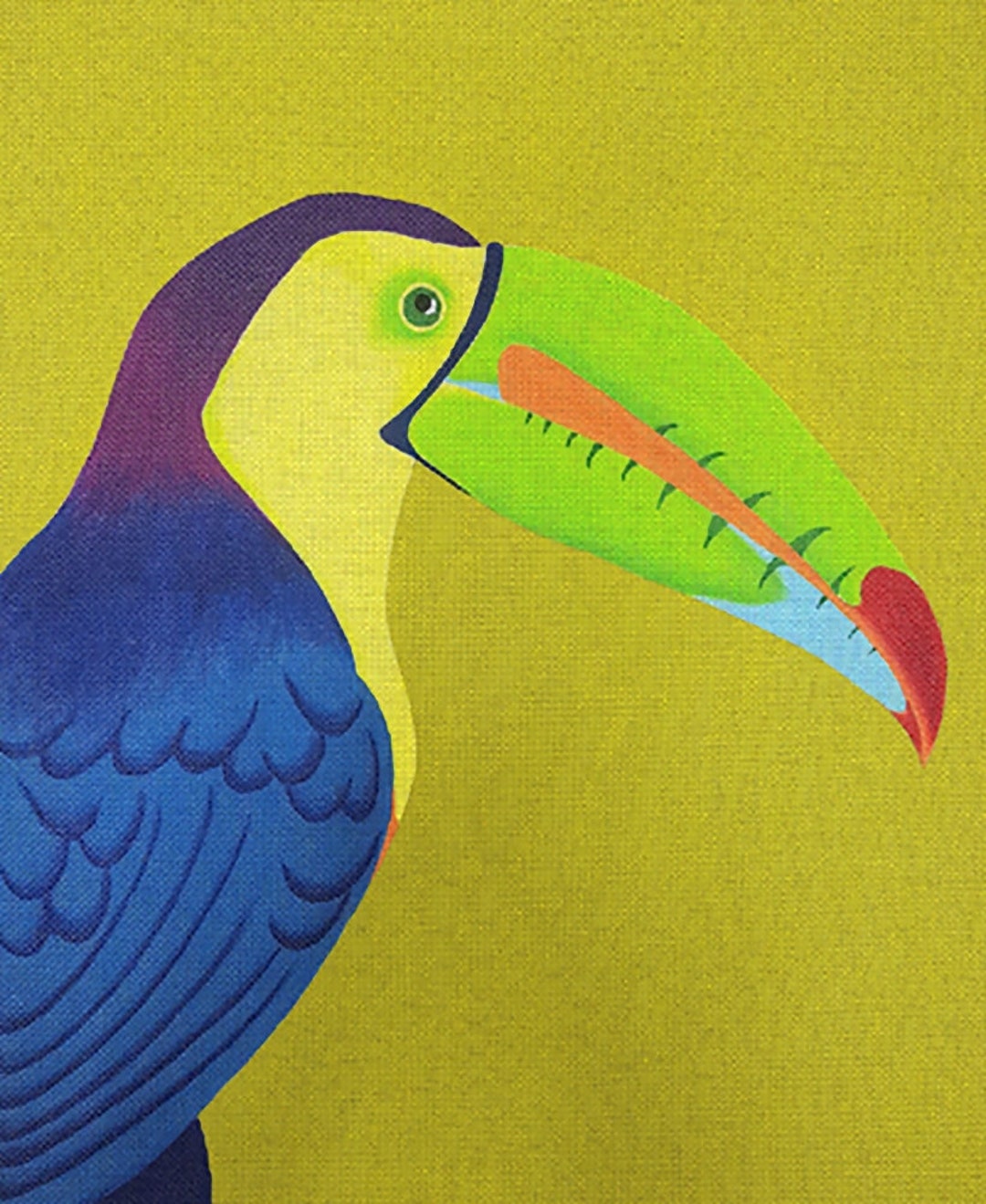 Needlepoint Handpainted Zecca Toucan Portrait 14x17 - Etsy