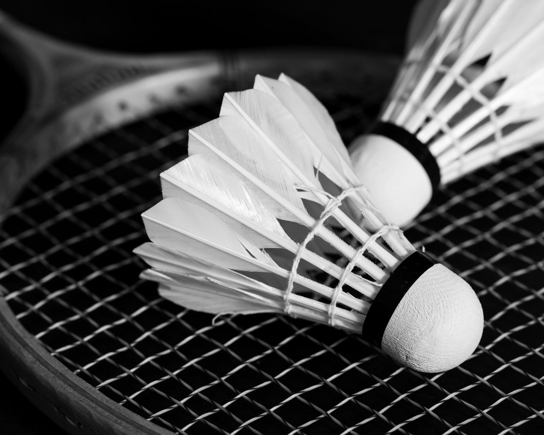 Badminton Print, Game Room Wall Art, Playroom Decor, Black and White ...