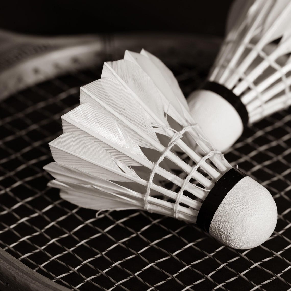Badminton Print, Game Room Wall Art, Playroom Decor, Black and White ...