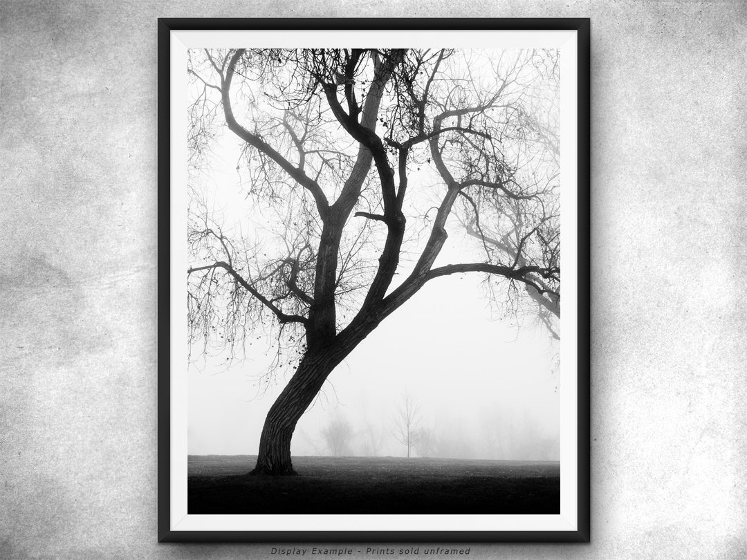 Tree Wall Art, Black and White Photography, Whimsigoth Decor, Single ...