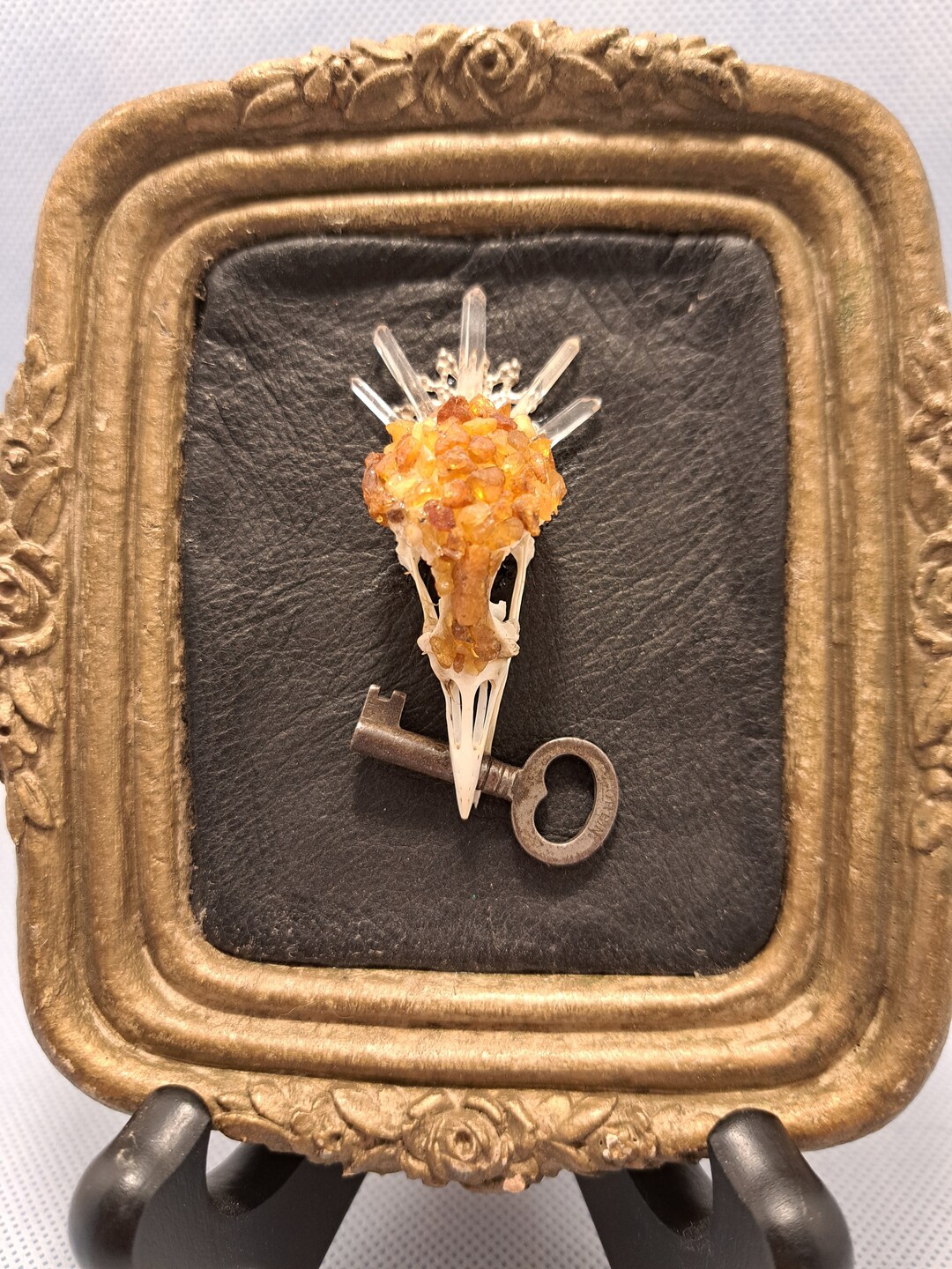 Crystal and Amber Bird Skull Taxidermy Mixed Media Framed Art - Etsy