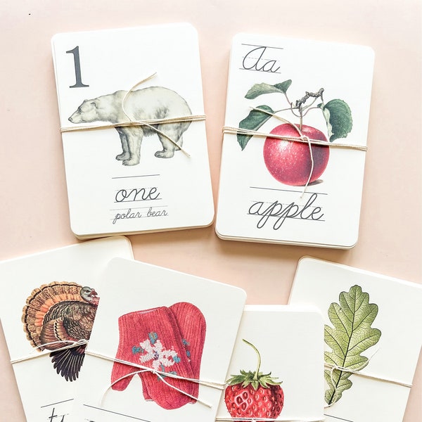 Vintage Flashcards - Etsy