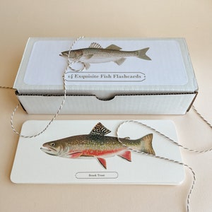 Fish Flashcards 14 Fishing Cards for Learning Fish Identification ...