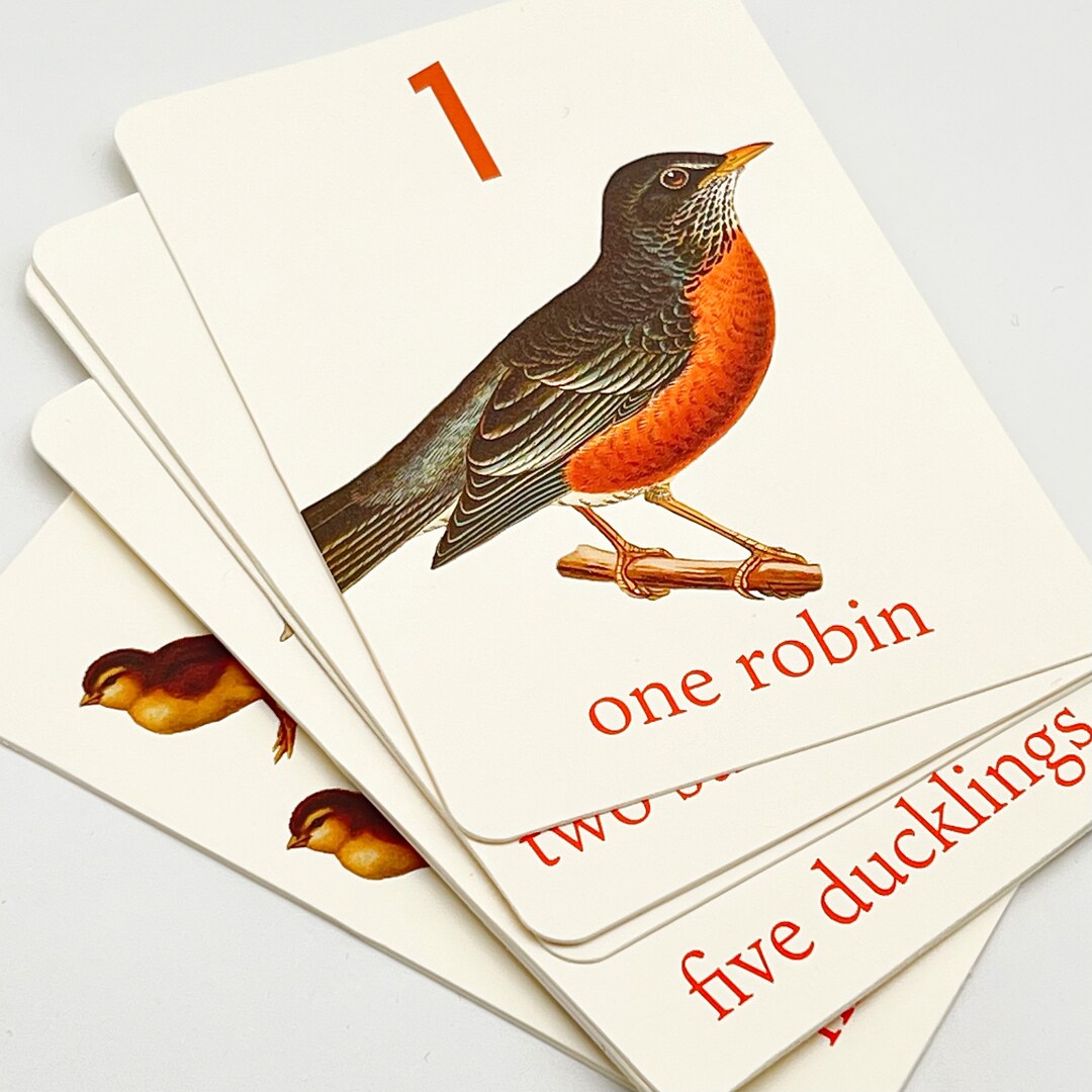Counting Flashcards Vintage Spring Art Counting Cards, Educational Gift ...
