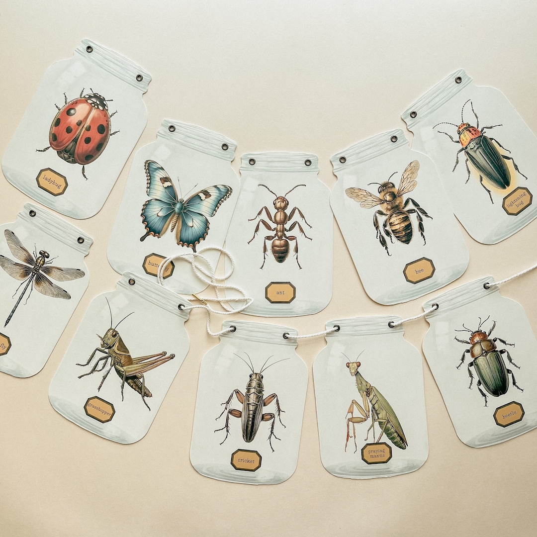 Bug Birthday Decor, Homeschool Decor, Learning Gift, 5x7" Jars - Etsy