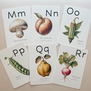 Alphabet ABC Flashcards Fruit Veggies Food 5x7" Cards, Homeschool ...