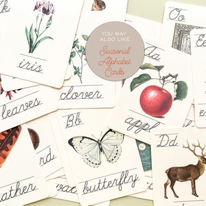 Alphabet Flashcards Vintage ABC Flashcards Nursery - Etsy