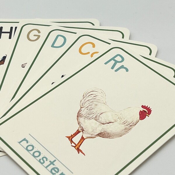 Vintage Flashcards - Etsy