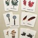 Matching Memory Nature Game for Preschool Enchanting Woodland - Etsy