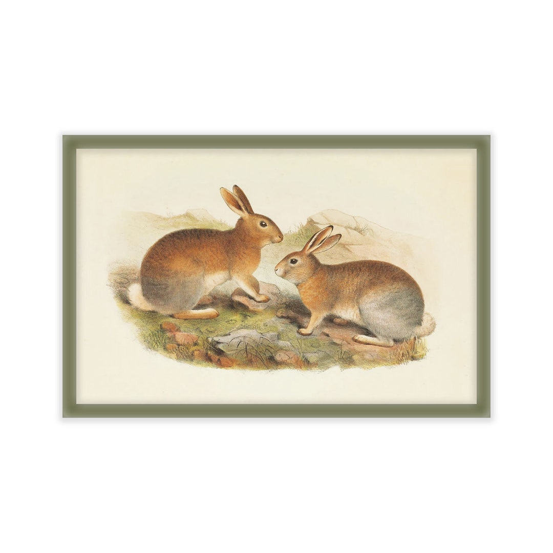 Bunnies Reproduction Vintage Antique Art 11x17 Easter Primitive Art ...