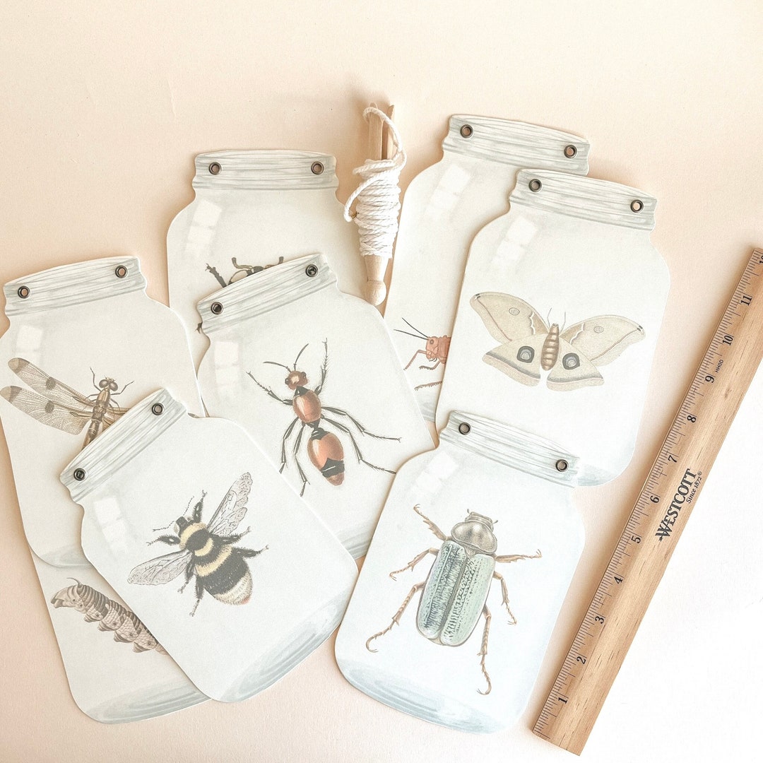Bug Birthday Decor 5x7" Jars - Etsy