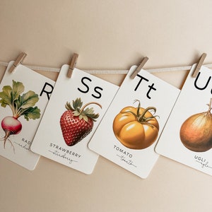 Alphabet ABC Flashcards Fruit Veggies Food 5x7" Cards, Homeschool ...