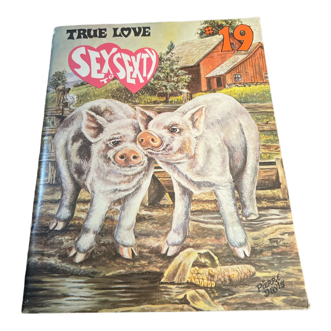 Sex to Sexty #19 Adult Humor Magazine SRI Publishing 1974, Excellent Condition - Etsy