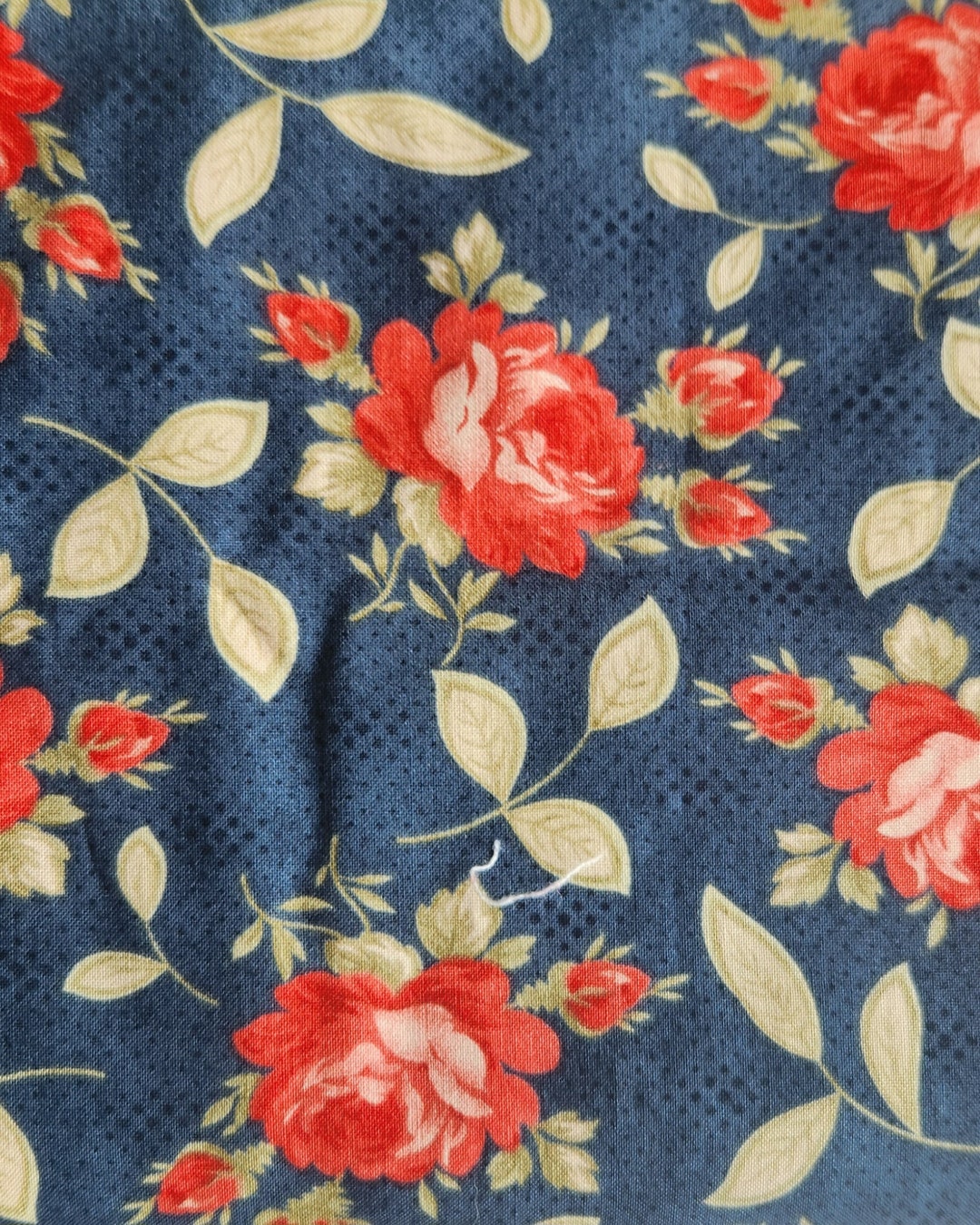 Prairie Paisley Fabric Moda Minick and Simpson Fabrics Half Yard/one ...