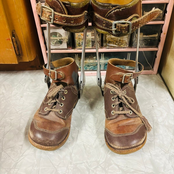 Medical Oddities - Etsy