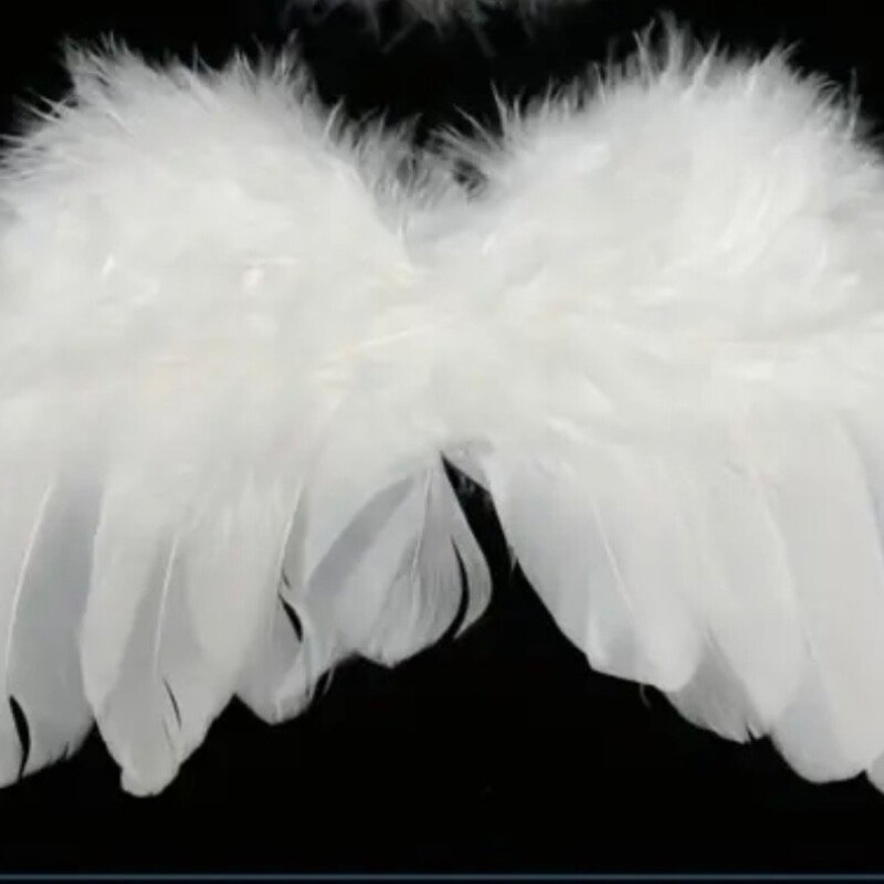 Wings Photo Prop - Etsy